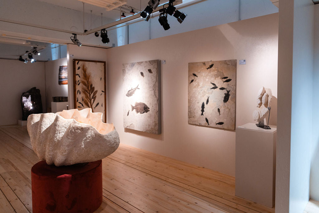 Prehistoric quarry | Quarry, museum & shop | Minerals & fossils ...
