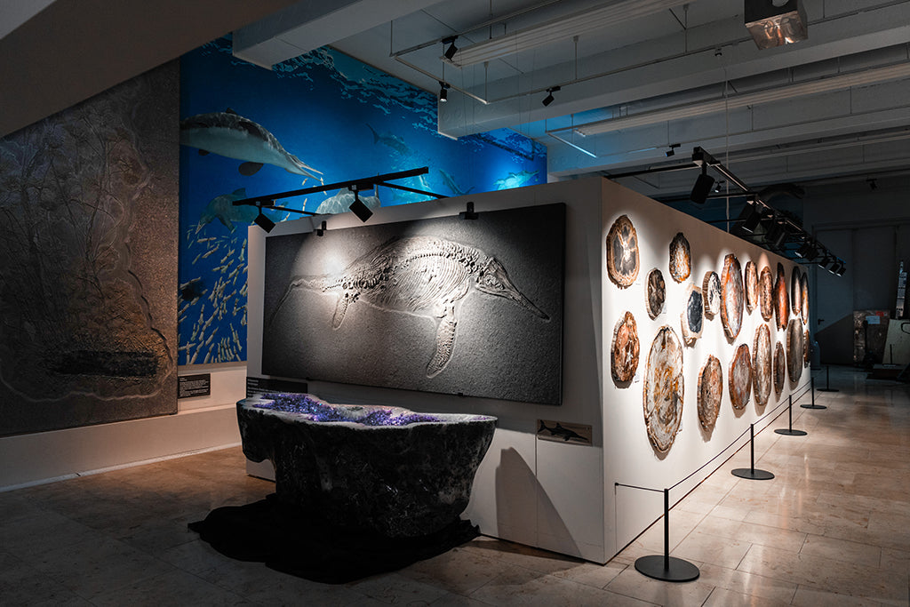 Prehistoric quarry | Quarry, museum & shop | Minerals & fossils ...